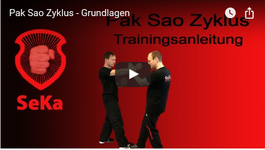 Wing Chun Videos